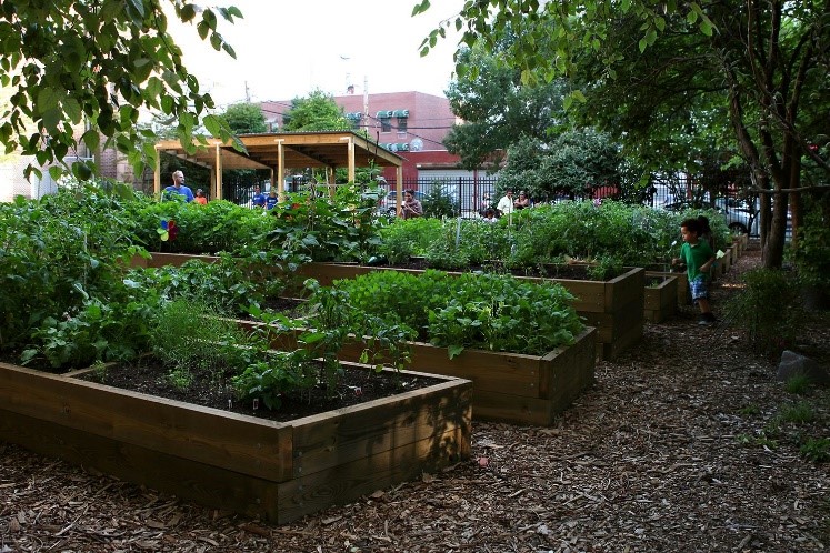 Farms, Classrooms, Civic Centers: The Many Uses of Community Gardens ...